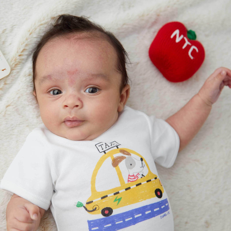 NYC Apple Rattle – Organic Baby Toy | Estella